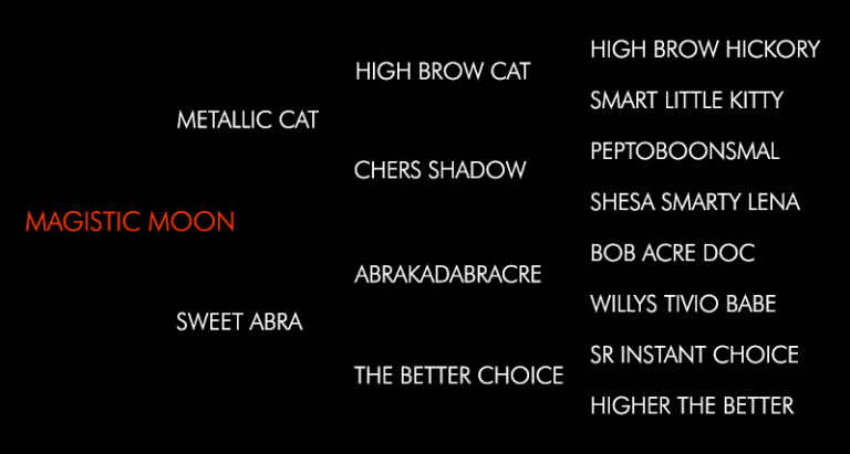 Magistic Moon – Fults Ranch